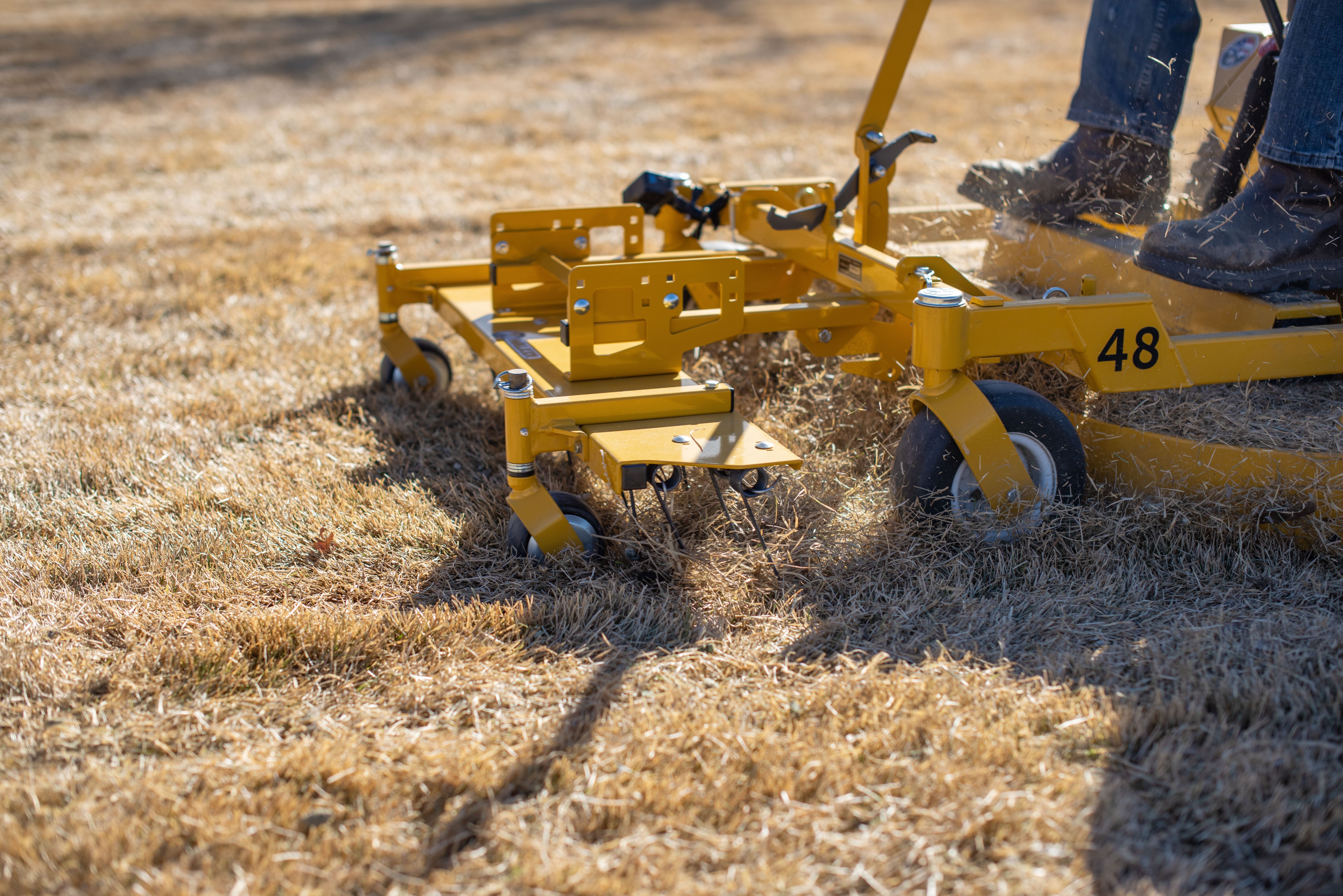 The Top 5 Benefits of Dethatching