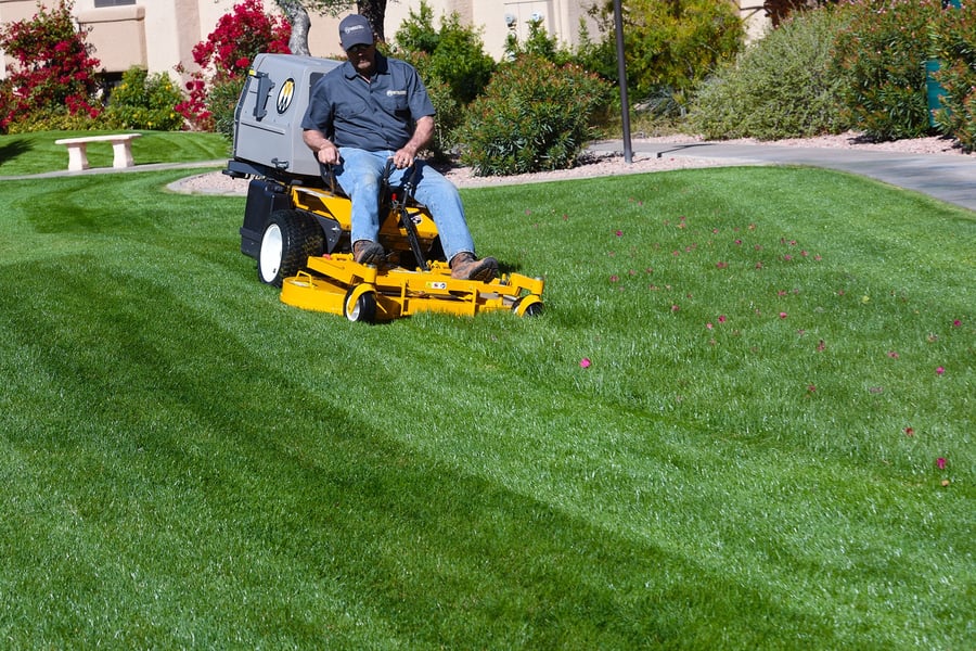 New Product: S18 Mower