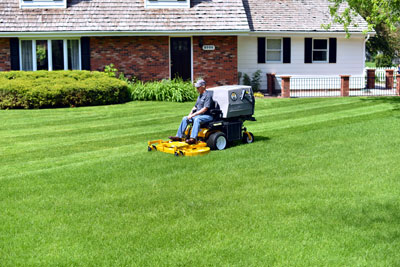 Walker Model D Lawn Mowers